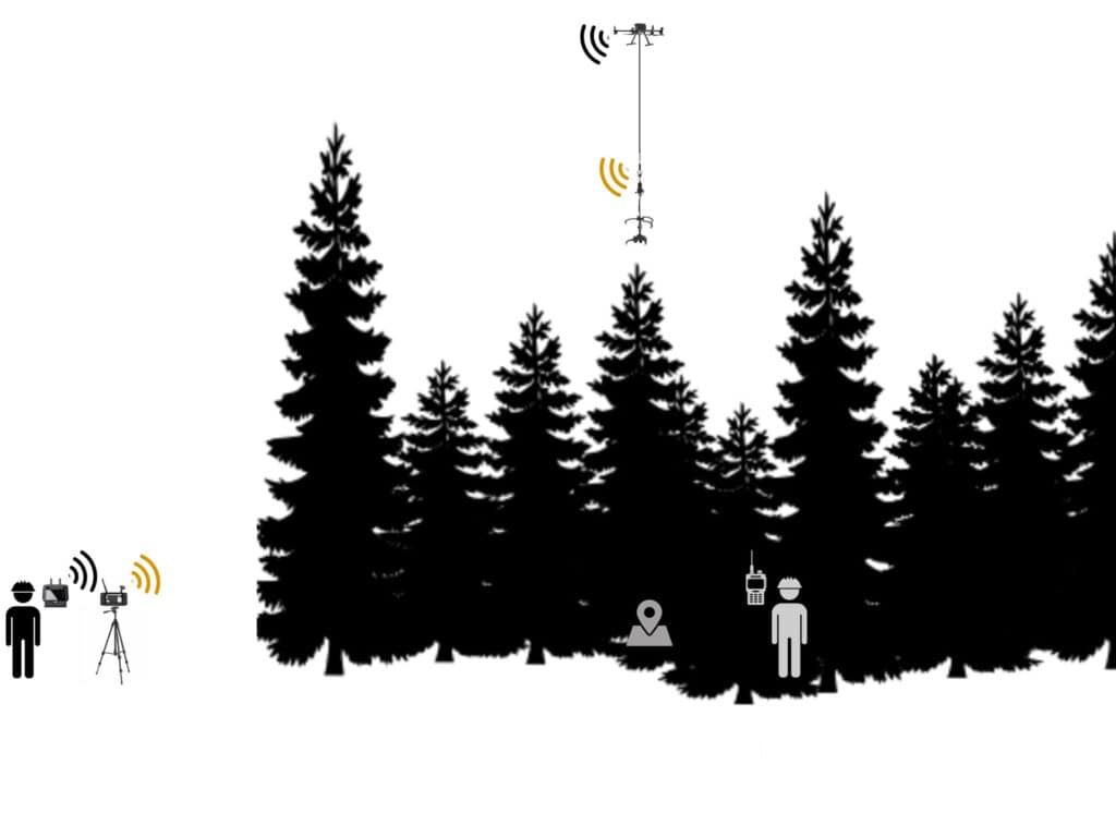 Tree Sampling | Vegetation Sampling Methods | Forest Drone